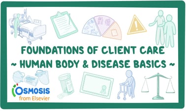 OsmosisFromElsevier: Foundations of Client Care 1: Human Body and ...