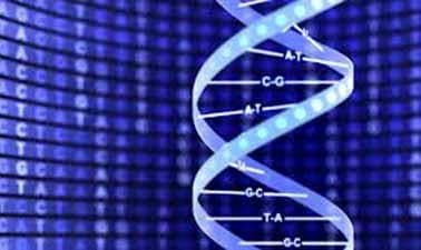 MITx: Introduction to Biology - The Secret of Life | edX