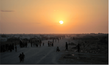 HarvardX: Humanitarian Response to Conflict and Disaster | edX