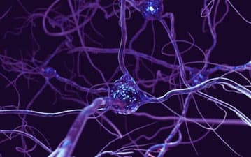 MIT Sloan School of Management: Neuroscience for Business | edX