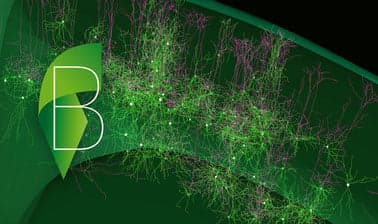 EPFLx: The Multi-scale brain | edX