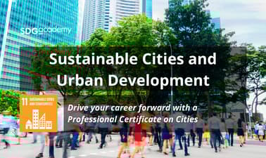 Sustainable Cities and Urban Development Professional Certificate