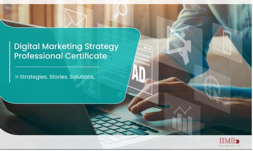 Digital Marketing Professional Certificate