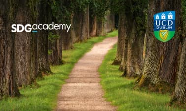 Master’s Pathway in Foundations of Sustainable Development Professional ...