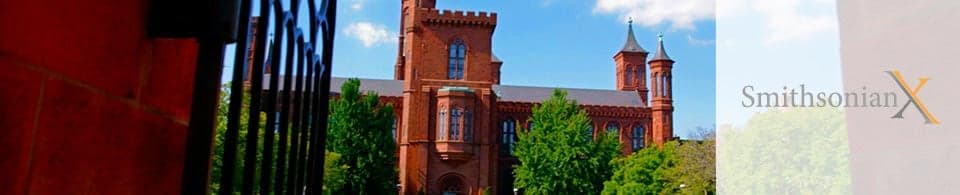 The Smithsonian Institution