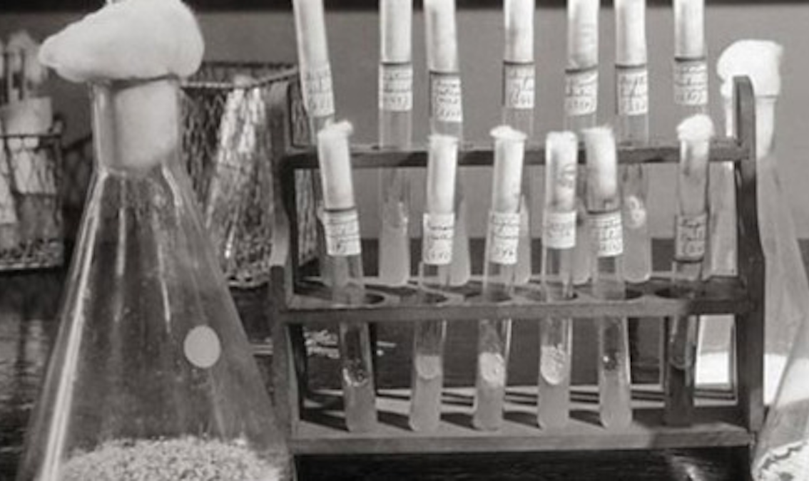 Courses and Programs taught by Emily Mui