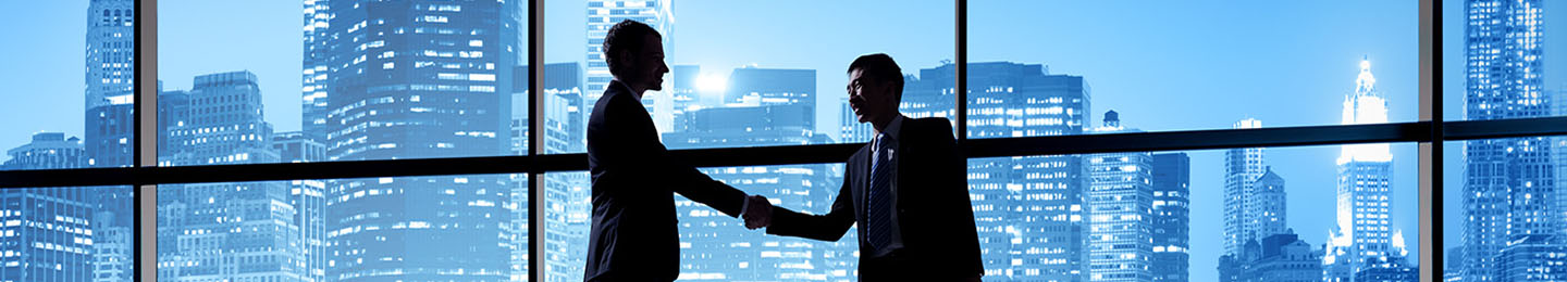 Project Finance And Public Private Partnerships US News SkillBuilder Project Finance And Public Private Partnerships US News SkillBuilder